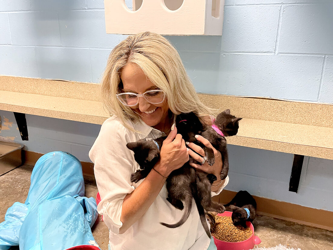 Humane society makes plea for fosters | News, Sports, Jobs - Weirton ...